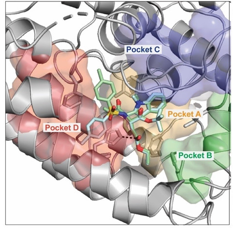 Natural Product Identification - Creative Biostructure Drug Discovery